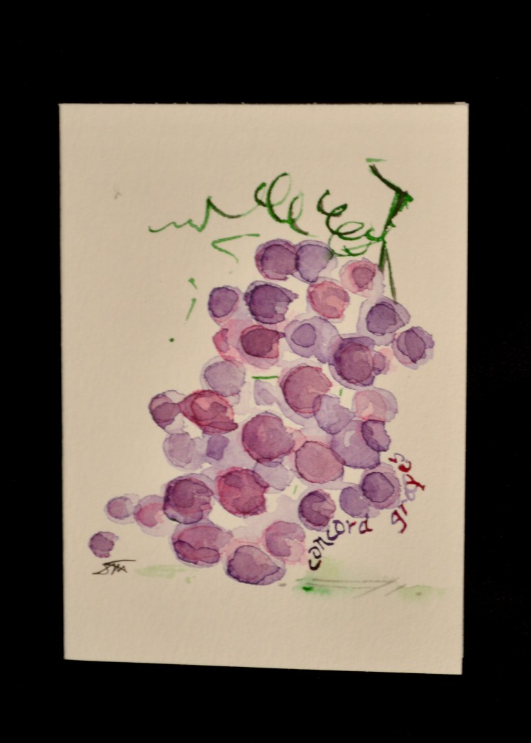 Sarah West Whitcomb – Artist – Original Artworks by Sarah West Whitcomb